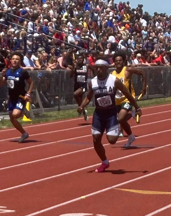 Harrison – THE SPORTS PAGE